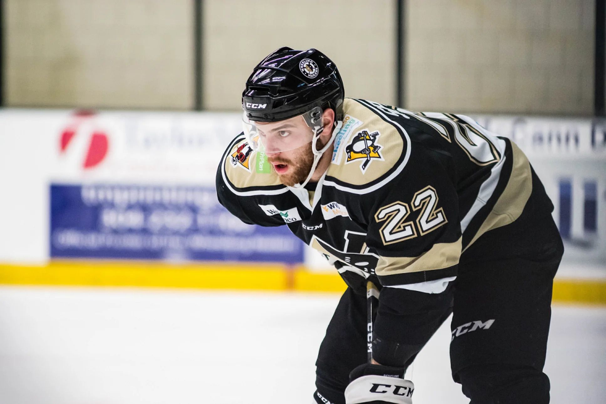 Kevin Spinozzi: ein junger Kanadier von der East Coast für die Bozner ...