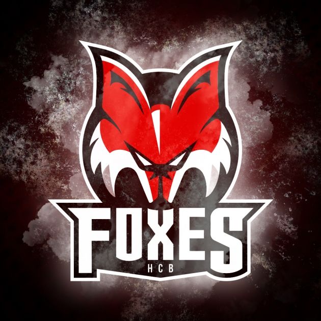 Neues Logo und erste neue Namen für den HCB Südtirol Alperia - Hockey ...